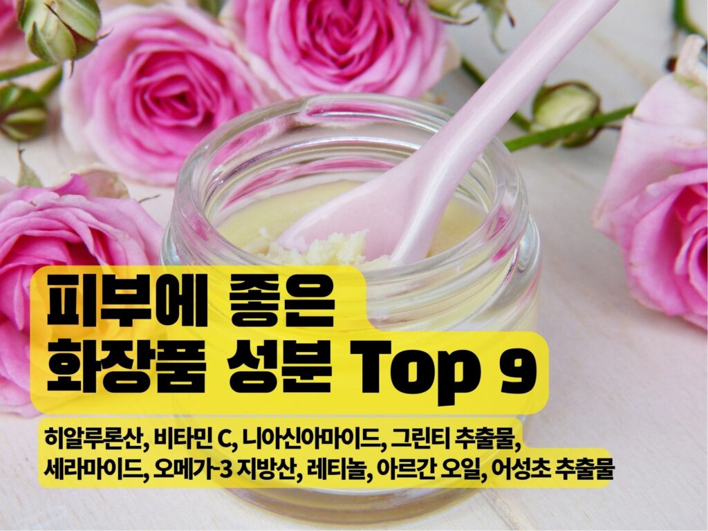 피부에 좋은 화장품 성분 Top 9 히알루론산 비타민 C 니아신아마이드 그린티 추출물 세라마이드 오메가 3 지방산
